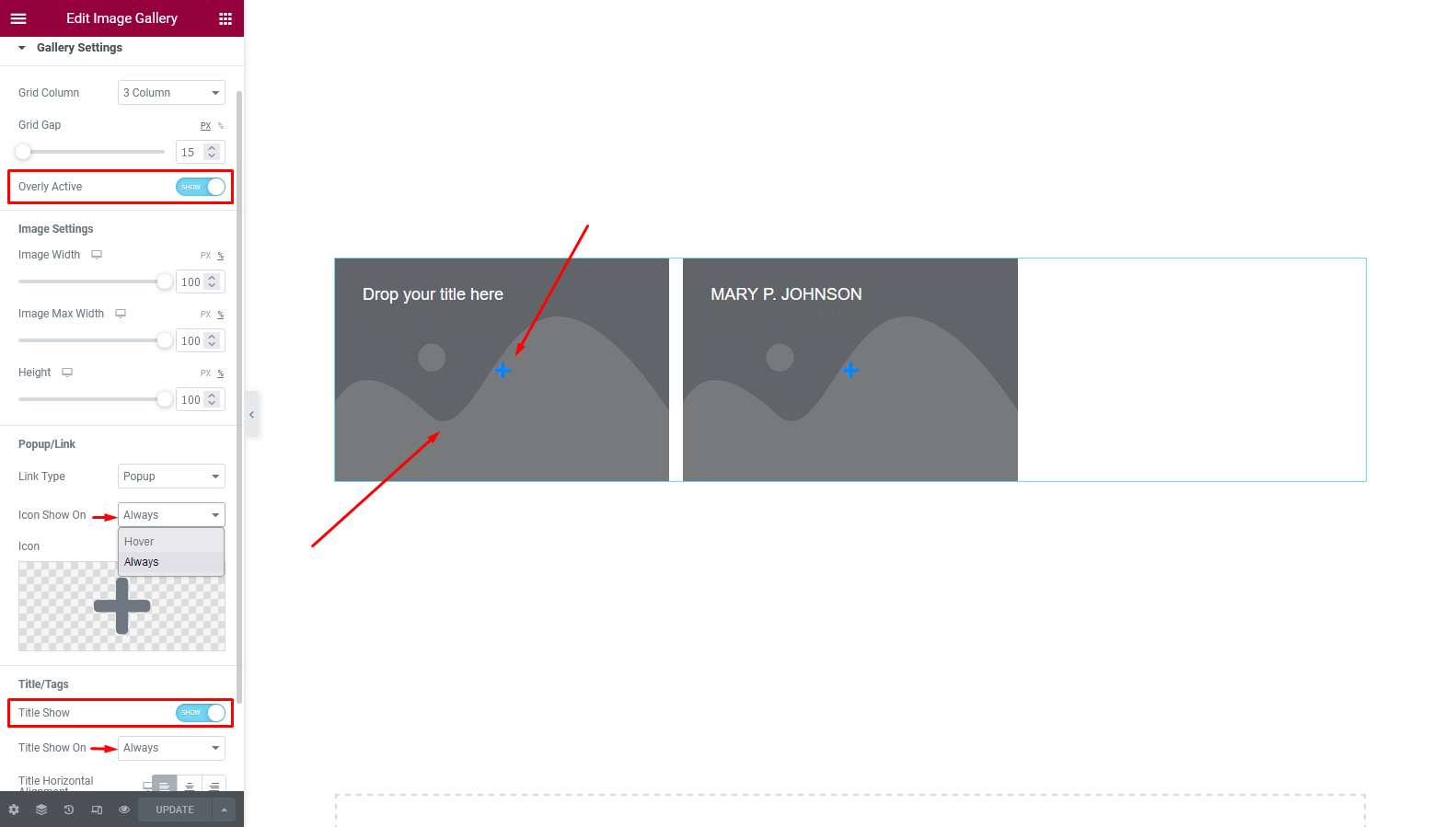 How To Use Image Gallery Widget Of EnterAddons - Enter Addons
