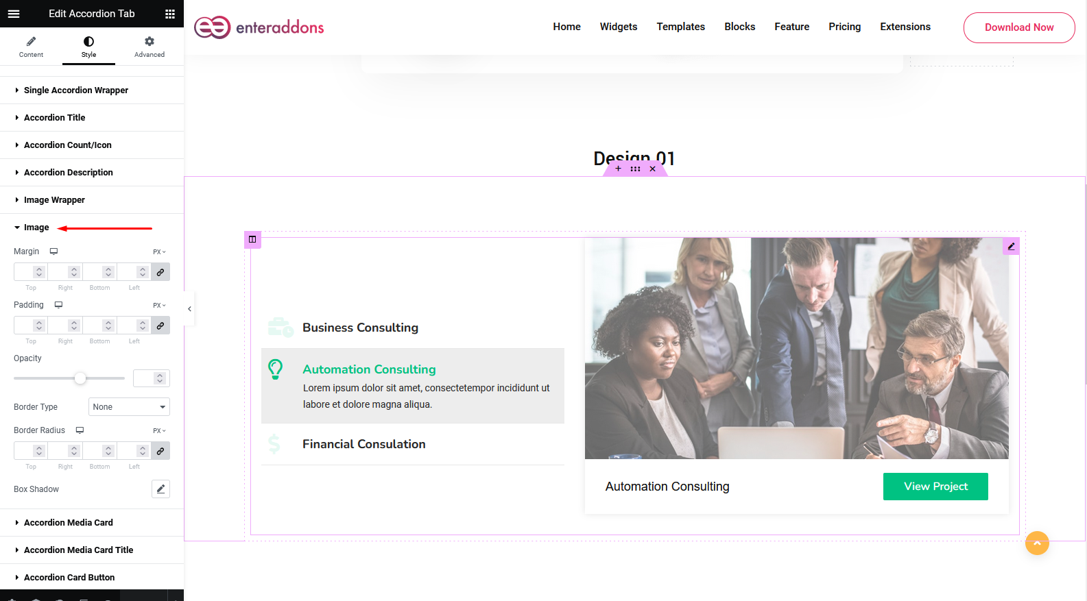 How To Use Accordion Tab Widget Of EnterAddons - Enter Addons